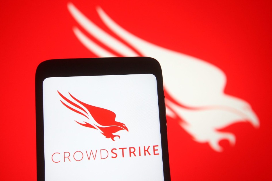 CrowdStrike (CRWD) Global Outage Case